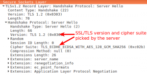 SSL/TLS Handshake Explained With Wireshark Screenshot (2022)