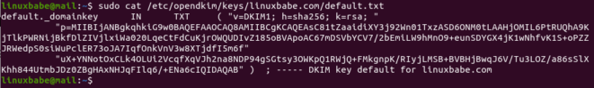 Part 4: Set Up SPF & DKIM with Postfix on Debian Server - LinuxBabe