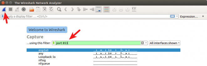 How To Easily Set Up A Dns Over Tls Resolver With Nginx On Ubuntu