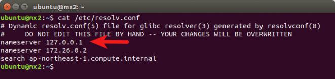 Set Up a Local DNS Resolver on Ubuntu 18.04, 16.04 with BIND9