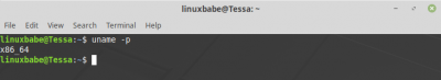 2 Ways to Install Wine on Linux Mint 19.1 (Terminal and GUI)