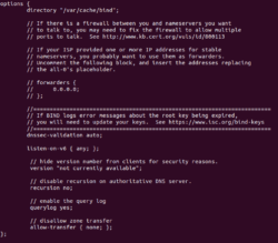 Set Up BIND Authoritative DNS Server on Debian 11/10