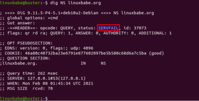 Set Up BIND Authoritative DNS Server on Debian 11/10