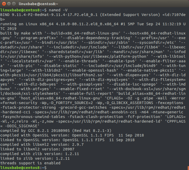 Set Up Your Own BIND9 DNS Resolver on CentOS 8/RHEL 8/Rocky Linux 8/Alma Linux 8