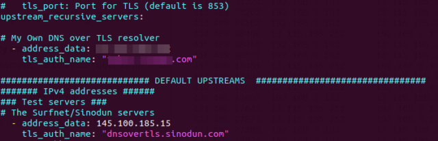 How to Easily Set Up a DNS over TLS Resolver with Nginx on Ubuntu