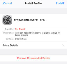 Set Up DNS over HTTPS (DoH) Resolver on Ubuntu with DNSdist