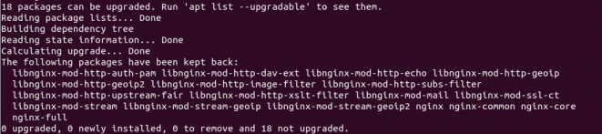 How to Set Up ModSecurity with Nginx on Debian/Ubuntu