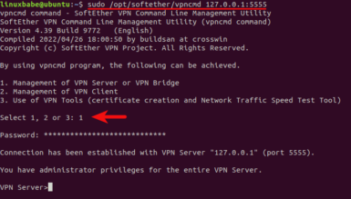 How to Set Up SoftEther VPN Server on Ubuntu 24.04 VPS - LinuxBabe
