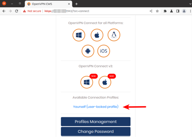 How to Set Up OpenVPN Access Server on Ubuntu 22.04/20.04