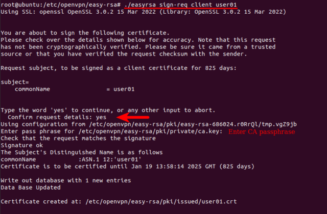 How to Set Up OpenVPN with Stunnel on Ubuntu 24.04 Server - LinuxBabe