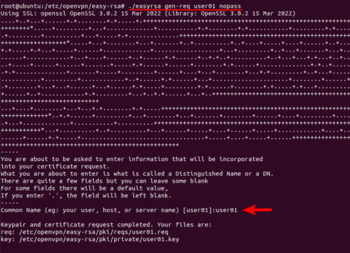 How to Set Up OpenVPN with Stunnel on Ubuntu 24.04 Server - LinuxBabe