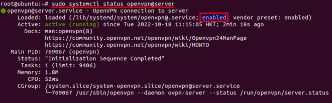 How to Set Up OpenVPN with Stunnel on Ubuntu 22.04/20.04 Server