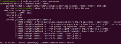How to Set Up OpenVPN Access Server on Ubuntu 22.04/20.04