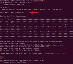 How to Set Up OpenVPN with Stunnel on Ubuntu 24.04 Server - LinuxBabe